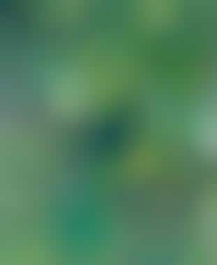 50 Polychromatic Photography Examples