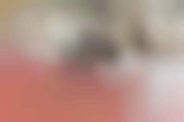 Human-Powered Helicopters : gamera project