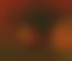 Culturally Melded Fantasy Art : Jennifer Hom