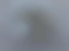 Iconic Painting Papercrafts : Andrea Russo