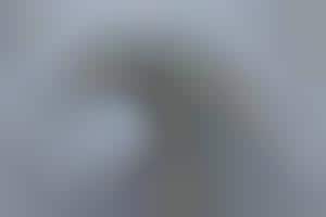 Iconic Painting Papercrafts : Andrea Russo