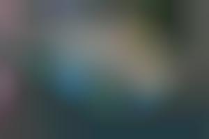 Watery Street Reflection Photography : Jessica Backhaus