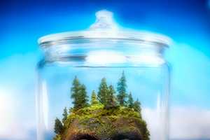 Fantastical Terrarium Artwork : Ancient Goddess Ruins