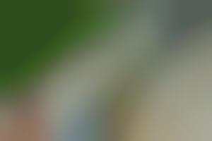 Cooler-Embedded Counters : beer gutter picnic table