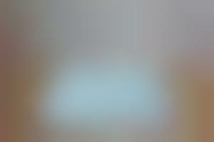 Floating Flower Installations : Michelle Forsyth