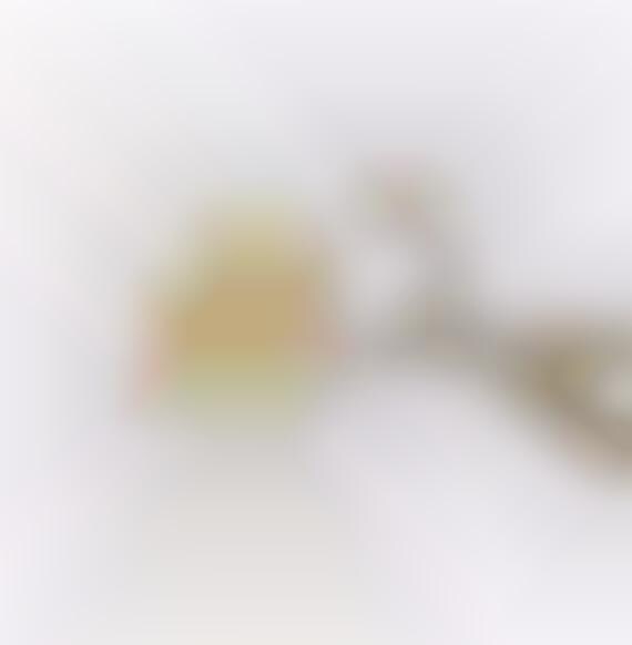 100 Examples of Transparent Design