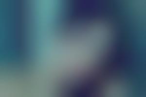 Decadent Dame Photography : vishesh verma