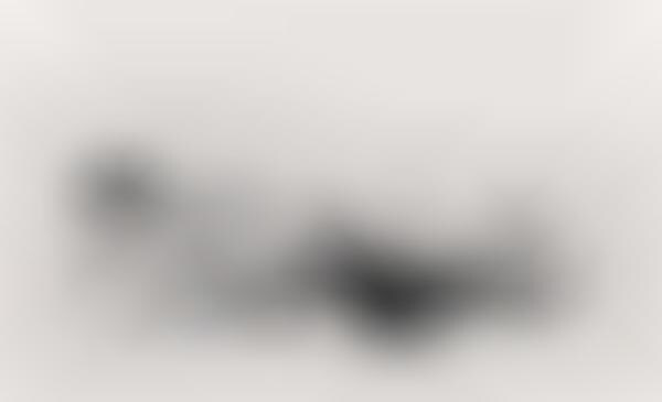 Factual Font Infographs : a brief history of type