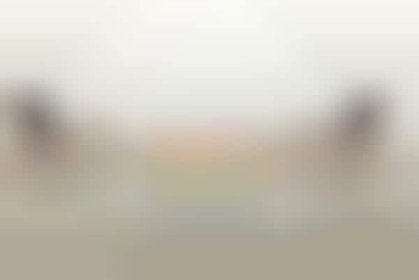 50 Human-Furniture Hybrids