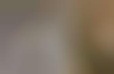 Masterful Intricate Wood Carvings : David Esterly