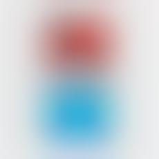 Political Phone Cases : obama biden iphone cases