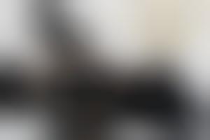 Dapper Flapper Pictorials : giuseppe dicecca