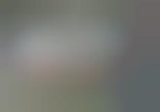 Delicious Undead Pastry Delights : walking dead cake