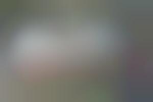 Delicious Undead Pastry Delights : walking dead cake