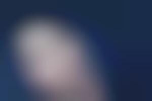 Exquisitely Edgy Editorials : BMM Magazine Issue 40