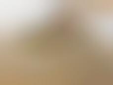 Portable Communal Bentos : amrita kulkarni dine in