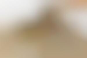 Portable Communal Bentos : amrita kulkarni dine in