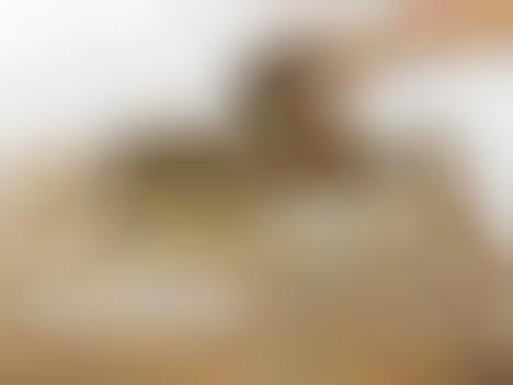 Portable Communal Bentos : amrita kulkarni dine in