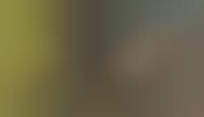 Mini Park Libraries : mini park libraries