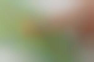 Foliage Thermostats : leaf thermometer