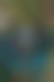 Up-Cycled Street Can Paintings : my dog sighs