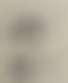 People-Made Celeb Portraits : alan craig artwork