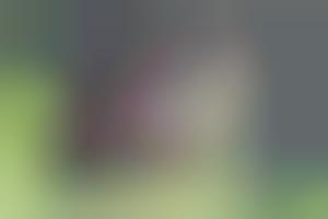 Batman-Aspiring Grass Choppers : batmobile lawn mower