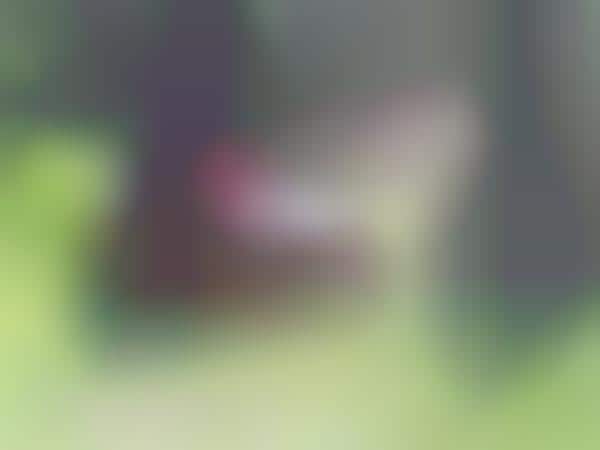 Batman-Aspiring Grass Choppers : batmobile lawn mower