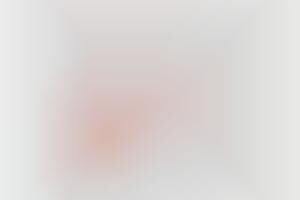 Screen Bean Dishware : CB2 ‘Oliver’