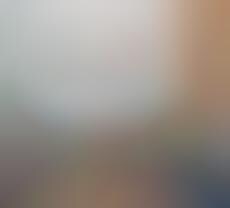 Boxed Interior Abodes : the box within a box