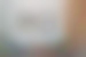 Boxed Interior Abodes : the box within a box