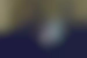 Urban Art Deco Advertorials : antonio croce fall winter 2012 2013