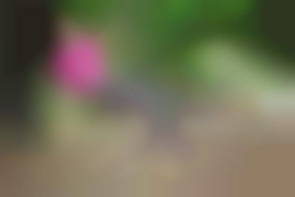 Chic Poverty-Combating Fashion : half united