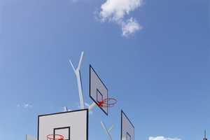 Arboreal-Inspired Ball Nets : Basket Tree