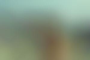 Fake Muscle Captures : kurt stallaert bodybuilders world