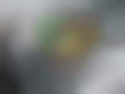 Combo-Cooking: Save Time and Energy With Eco-Cook Line