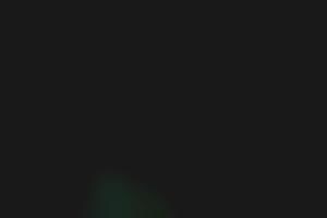 Painting With Light: The Art of Eric Staller