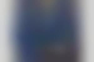 Retro Arcade Booths: Dr. Who Time Machine