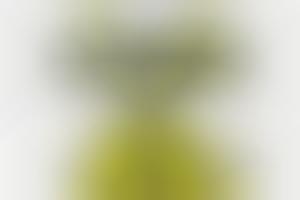 Robotic Babysitters: In-Store Robo-Nanny Lets You Shop in Peace