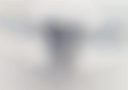 Anatomy Sculptures: Uterus Vase