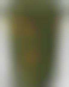 Luxury Instant Noodles: Harrods Posh Pot Noodle