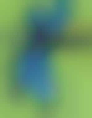 Top 50 Eccentric Shoes