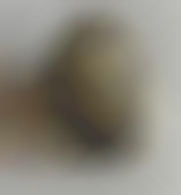 21 Creepy Body Modifications