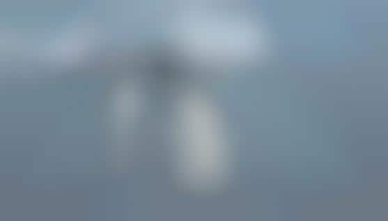 30 Adorable Penguin Products