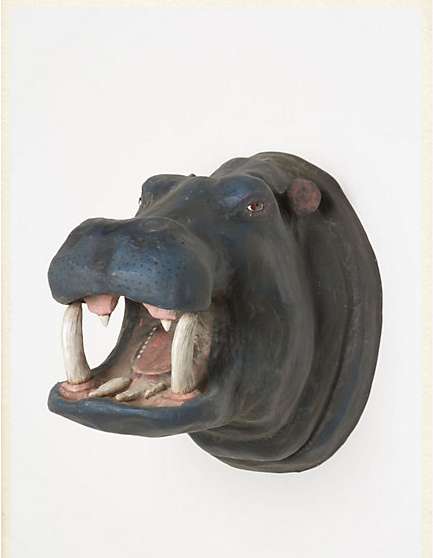 Aggressive Animal Decor : Anthropologie Wall Busts