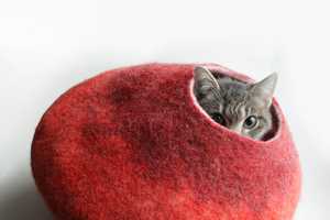 Cat Nap Cocoons : Vaivanat