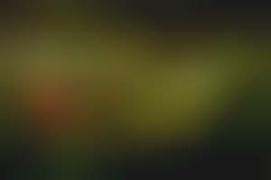 Wicked Watermelon Dragon Creations : Shawn Freeney