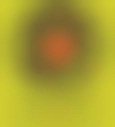 Planet-Friendly Flip Flops : Feelgoodz footwear