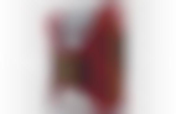 Emergency Equipped Knapsacks : Mountain Rescue Splint Pack