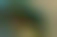 Living Desktop Ecosystems : Desktop Ecosystems